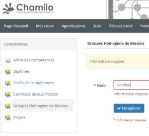 Chamilo LMS : le plugin Skills-Viewer – Chamilo
